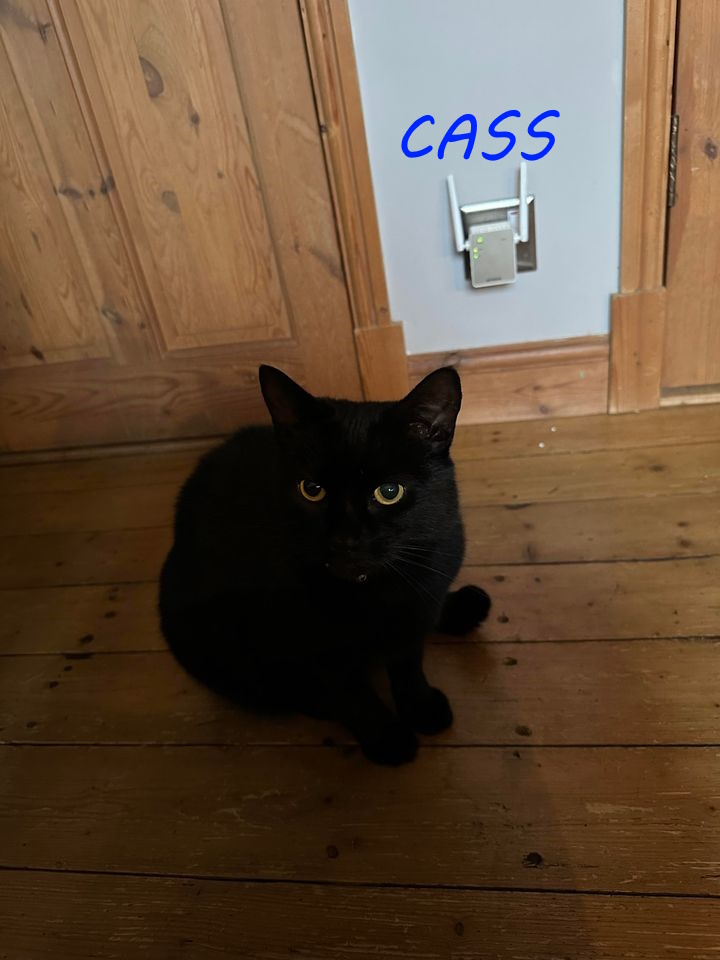 CASS | Whinnybank Cat Sanctuary